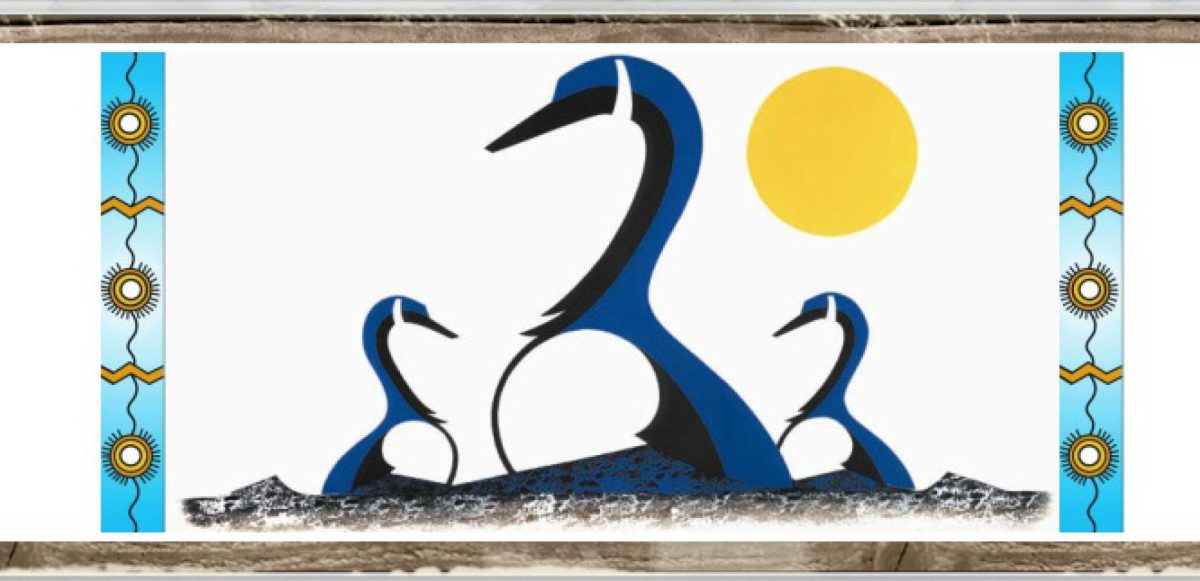 Contact H7G – The Healing of the Seven Generations